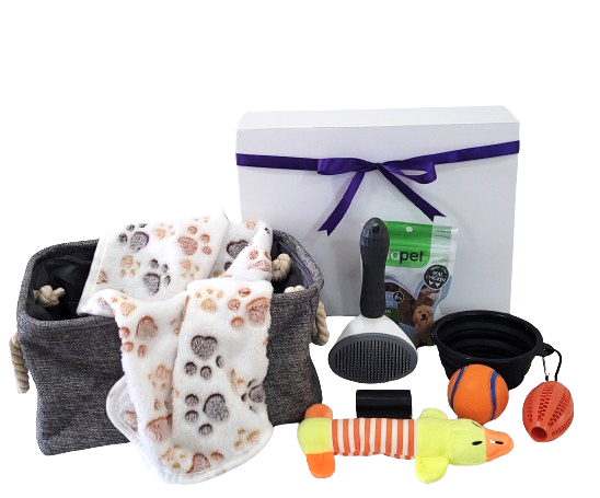 Dog Hampers - Small-Medium - chocolatfleurs